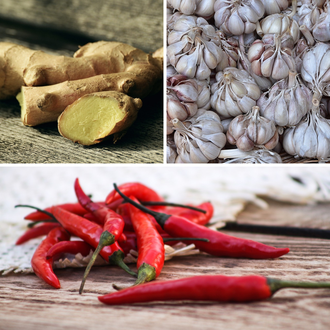 PT Wisaka Cahaya Abadi – WIsaka Agrikultur Indonesia – Kesegaran Global ...